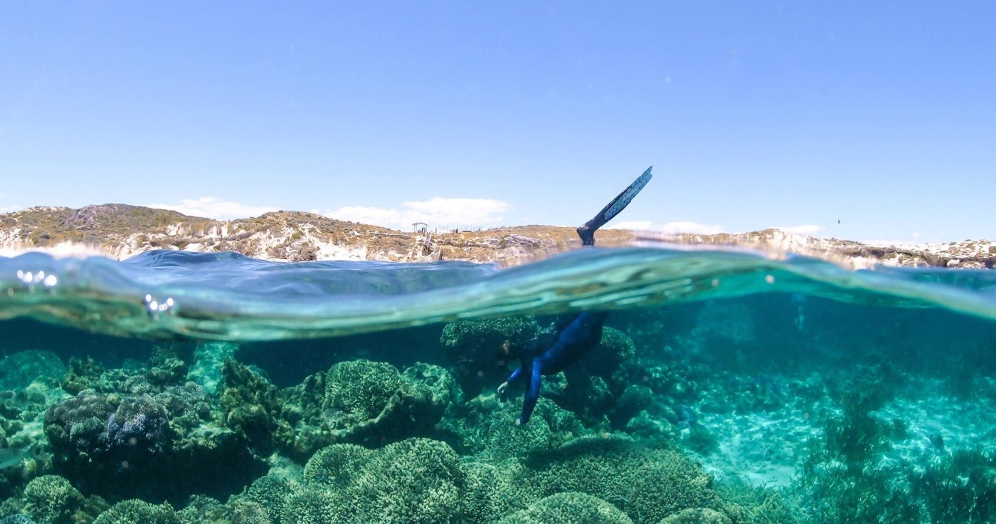 Dunsborough Boat Tours & Snorkelling | Oceania Experiences